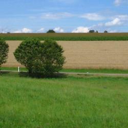 The best available hotels & places to stay near Hügelsheim, Germany