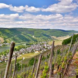 6 Best Kinheim Hotels, Germany (From $68)