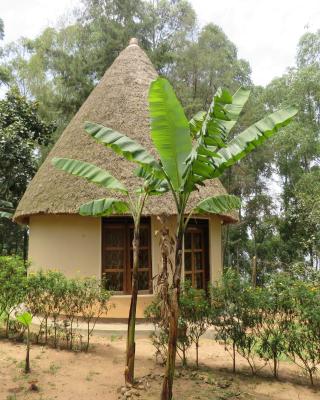 Best 12 Uganda Hotels in 2018/2019 – Booking.com