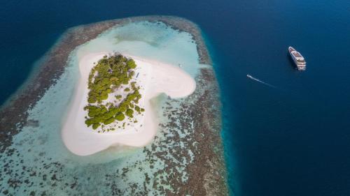 Atollo di Ari: i 10 migliori resort all inclusive - Resort tutto ...