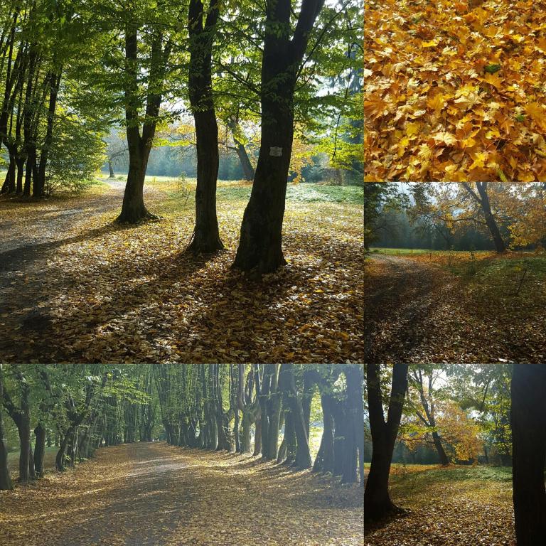 Zabola Estate - Transylvania, Zăbala – Prețuri actualizate 2018