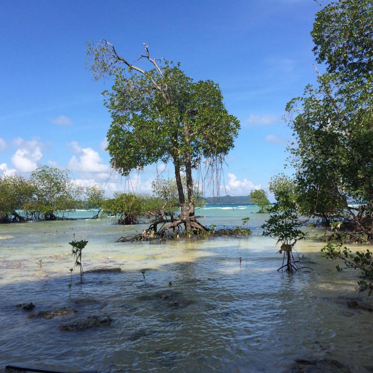 Silver Sand Beach Resort Neil, Neil Island, India - Booking.com