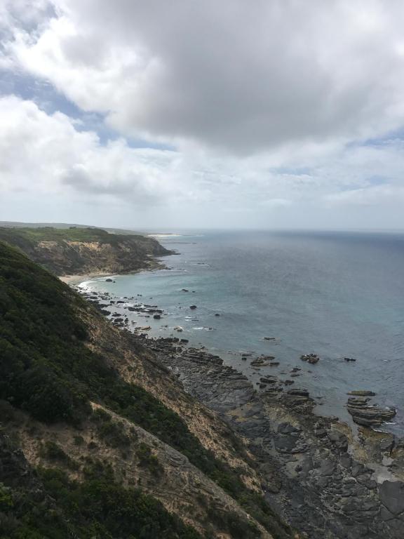 Bimbi Park - Camping Under Koalas, Cape Otway, Australia - Booking.com