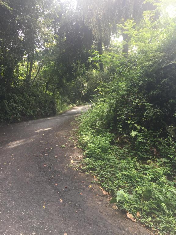 Kithul Kanda Mt Hotel, Padukka, Sri Lanka - Booking.com