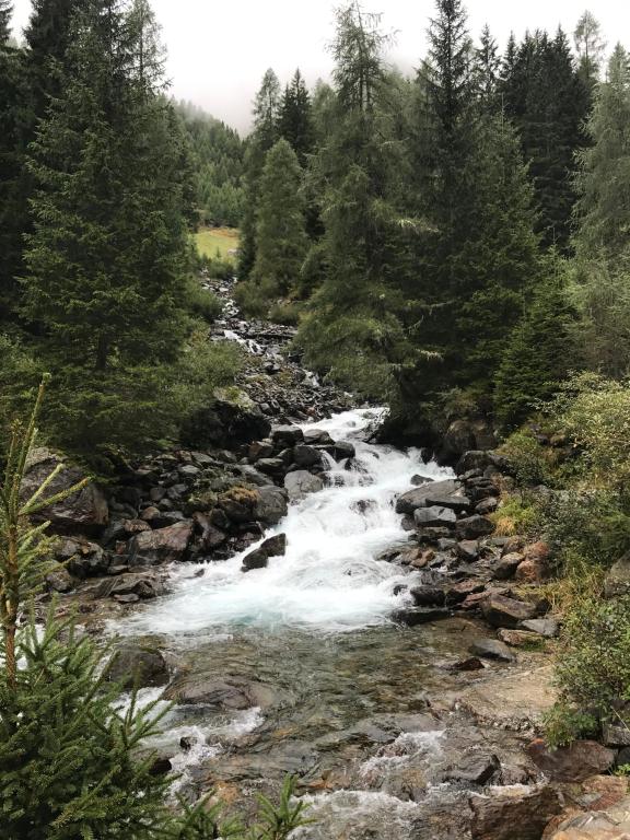 Grand Hotel Rabbi (Italia Bagni di Rabbi) - Booking.com