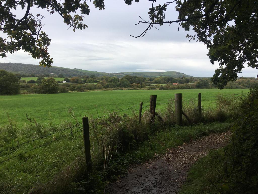 The Bull, Ditchling – Updated 2018 Prices