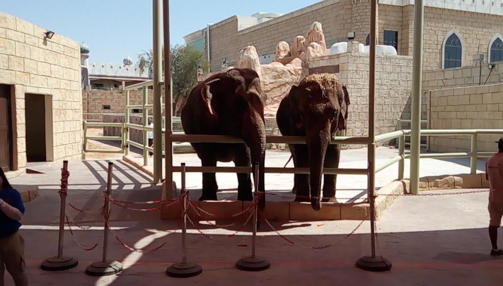 Emirates Park Resort, Al Rahba – Updated 2018 Prices