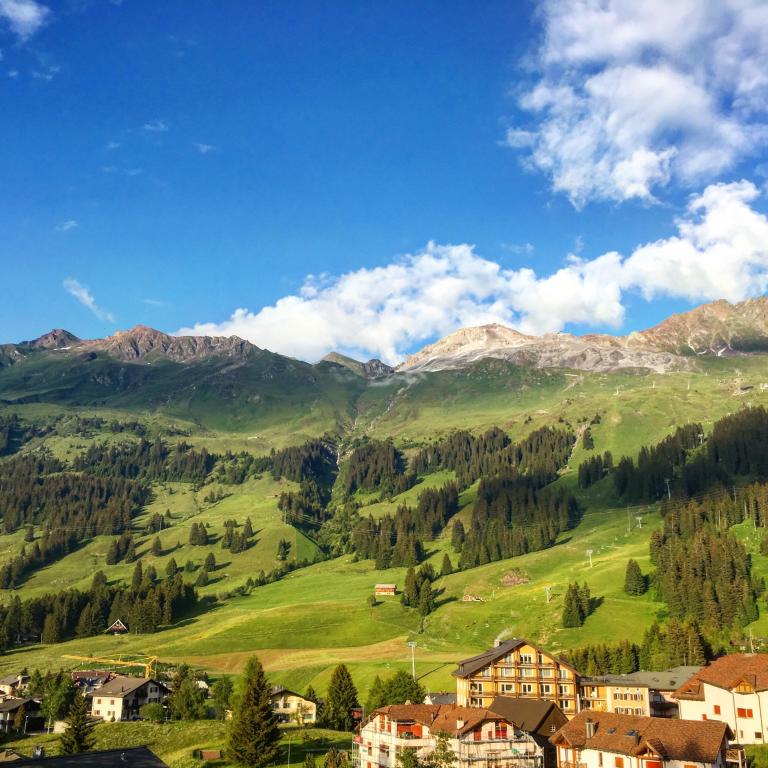 Hotel Alpina Parpan, Switzerland - Booking.com